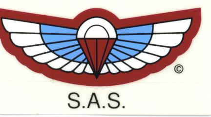 Special Air Service Wings Decal | North Bay Listings
