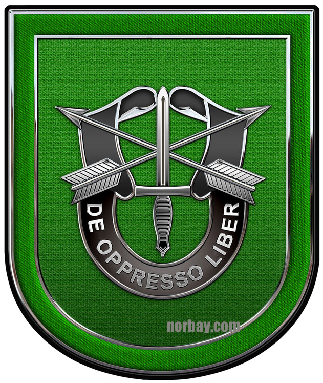 10th Special Forces SF Group all metal Sign 15 x 18" | North Bay Listings
