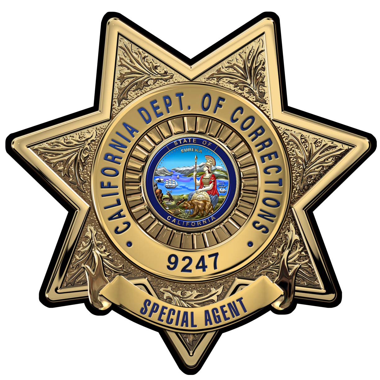 Federal Correctional Officer Badge